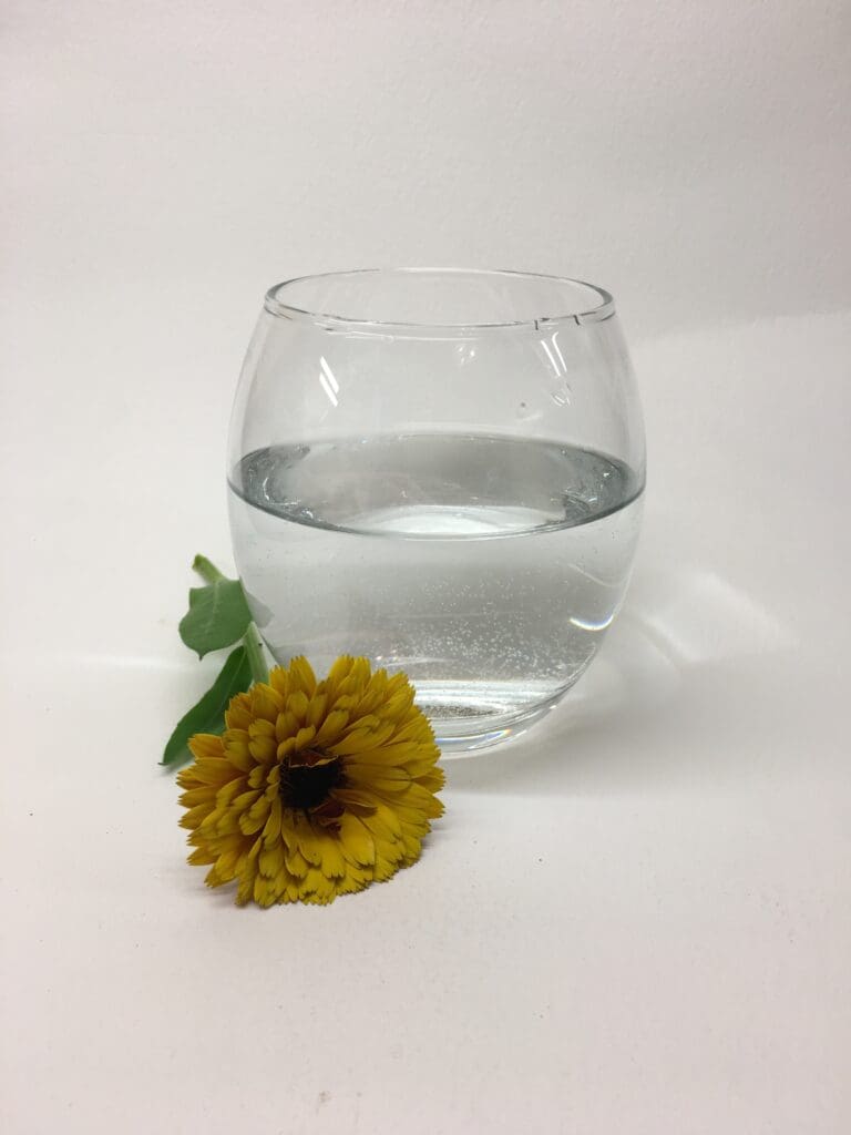 Calendula Hydrolat - Animal Aromatics