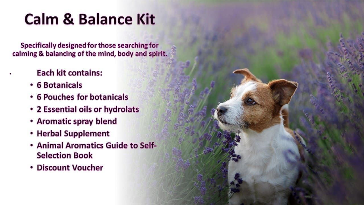 Calm & Balance Kit - Animal Aromatics