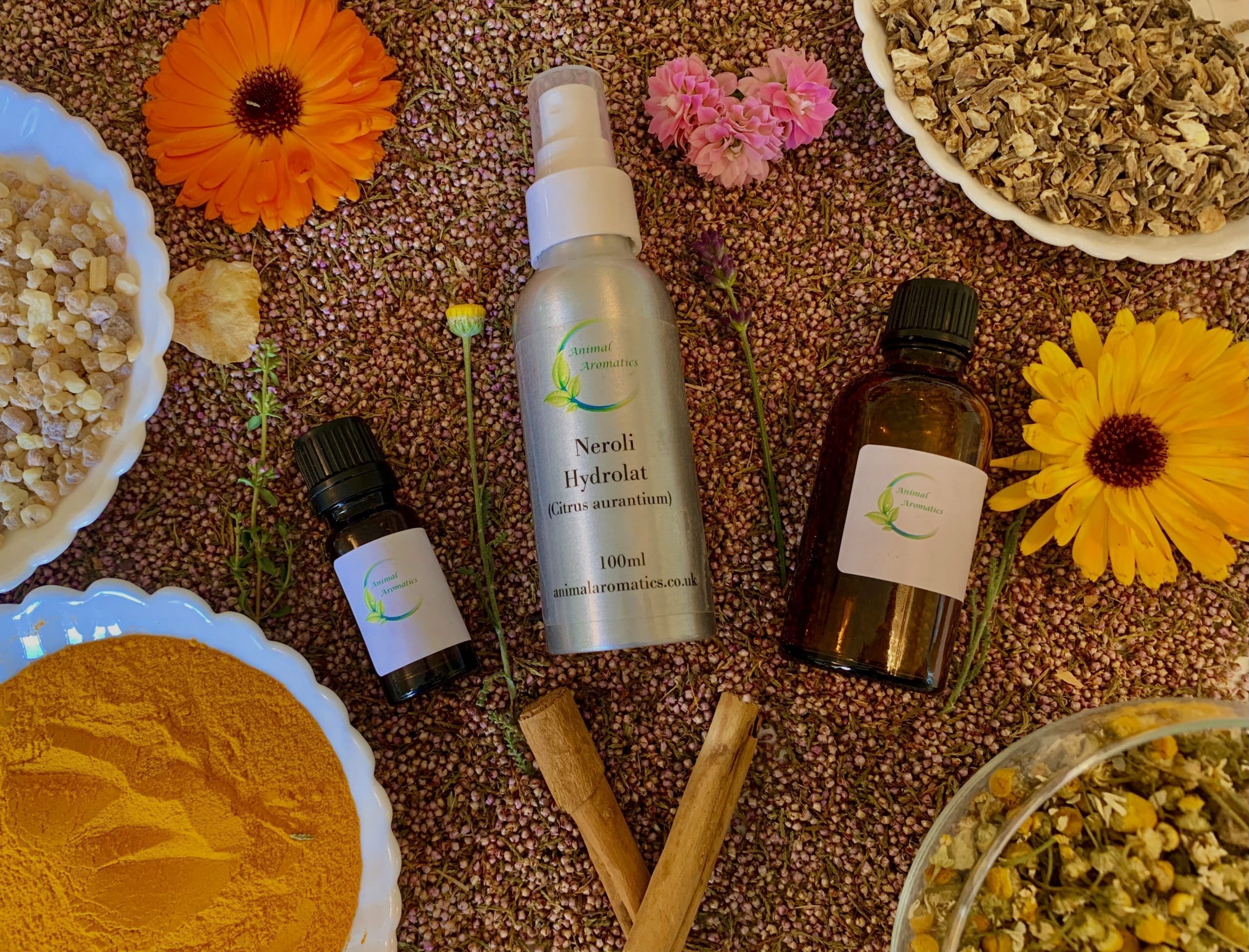 Animal Aromatics – Natural health management for horses and dogs